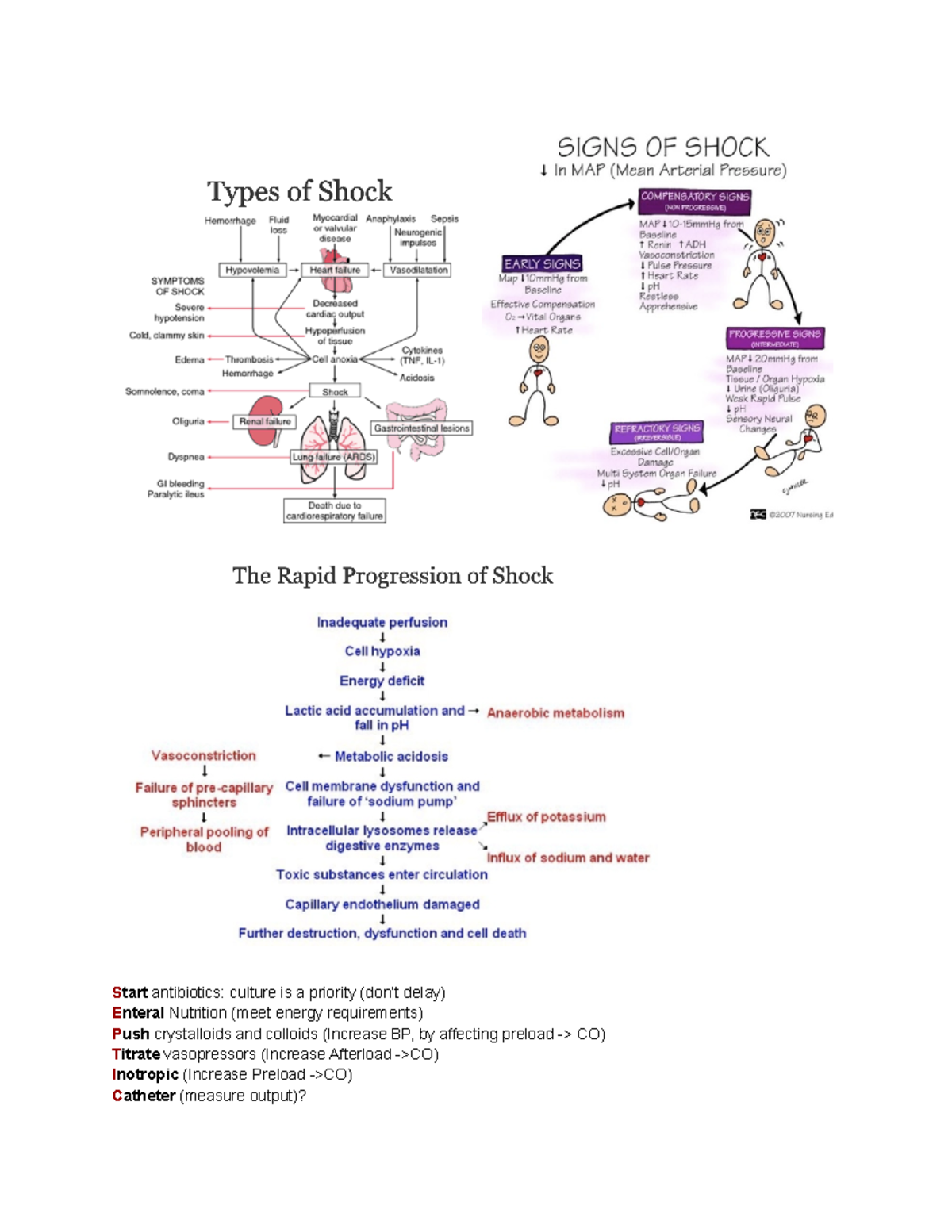 MDC4 - Exam 2 - This is a study guide provided by the professor in ...