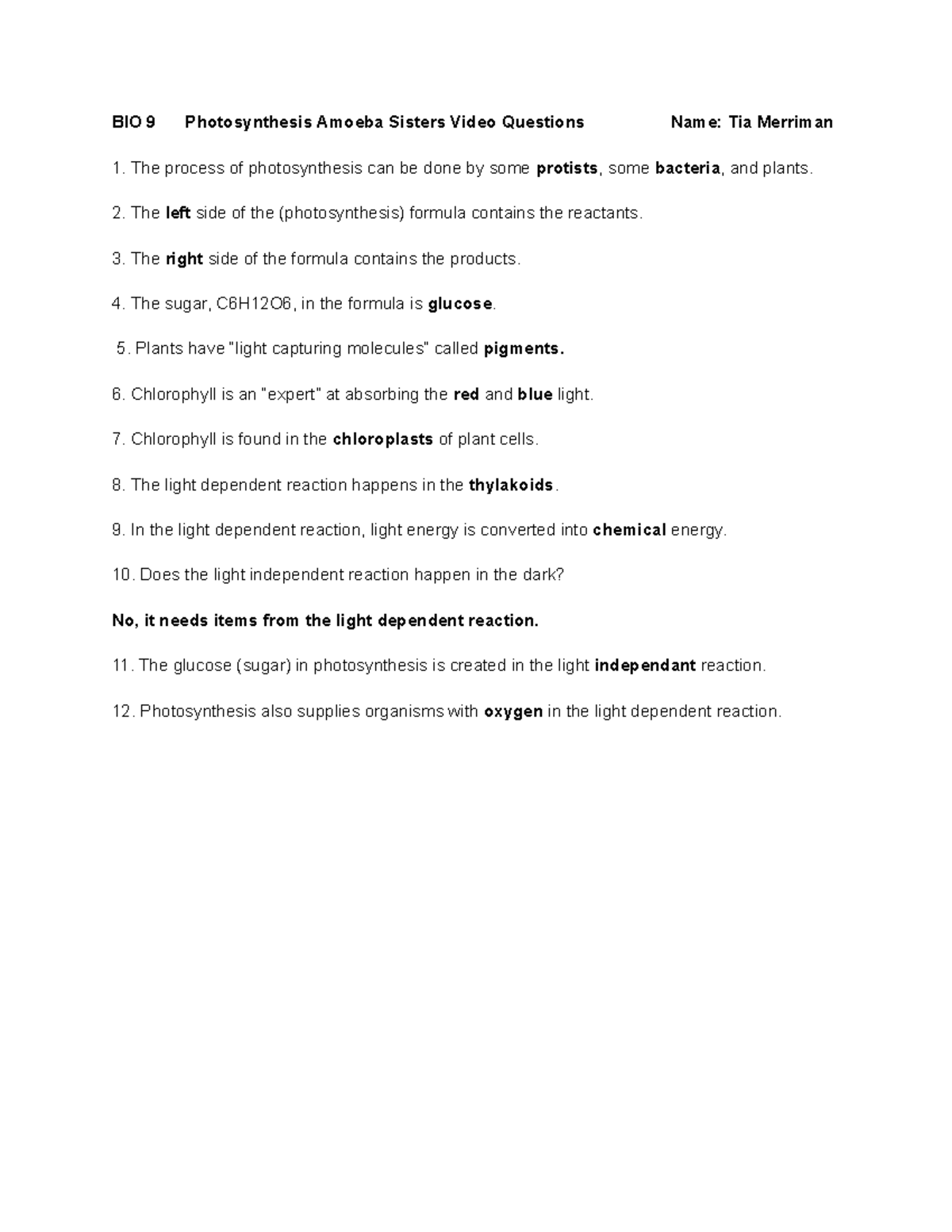 BIO 9 Photosynthesis Amoeba Sisters Video Questions The Left Side Of