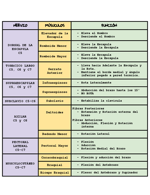 Anatomia del periodonto - Parte 1: Anatomía 1 Anatomía de los tejidos ...