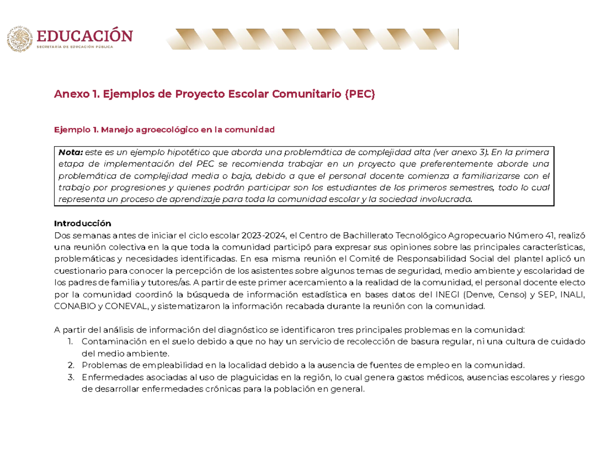 Ejemplo PAEC - Anexo 1. Ejemplos de Proyecto Escolar Comunitario (PEC ...