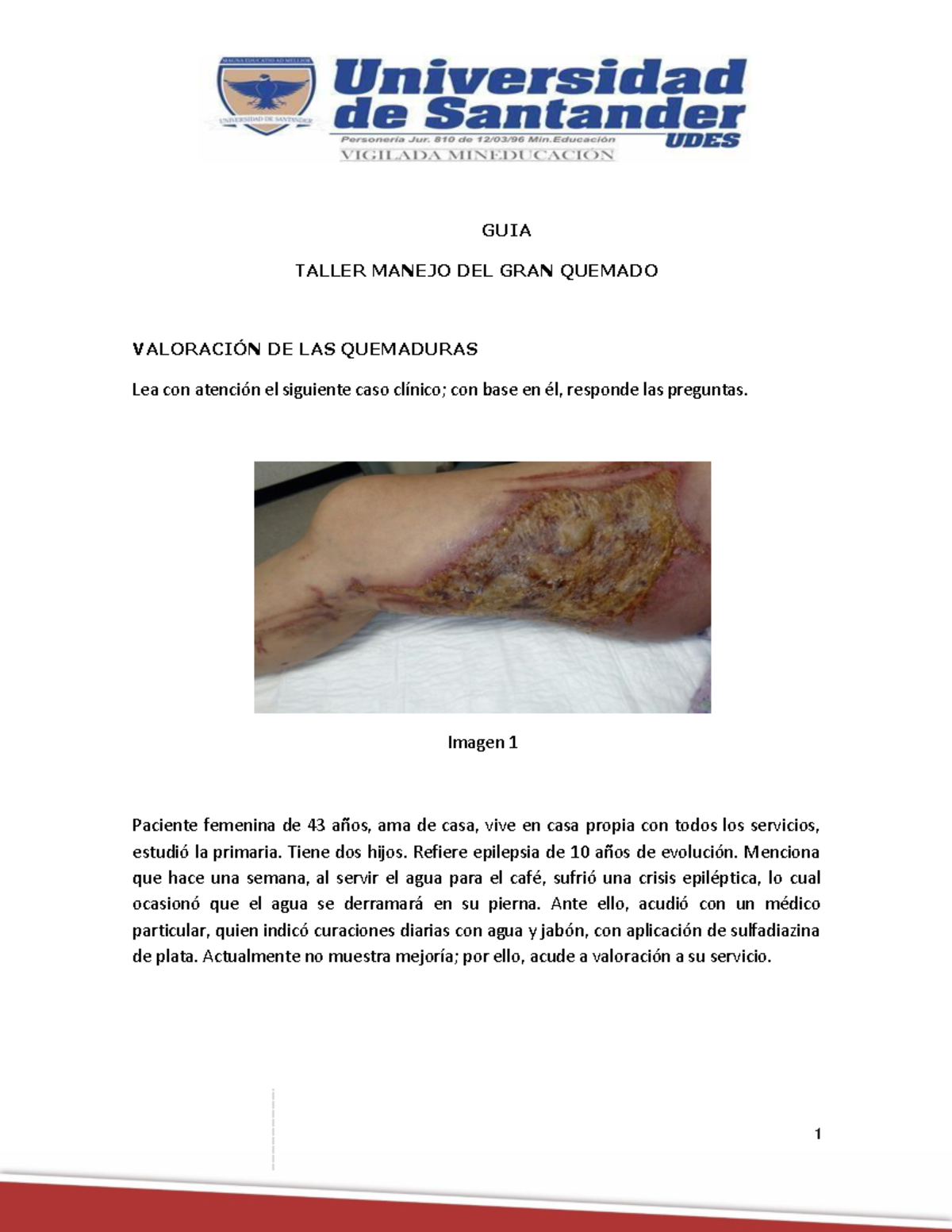 Taller GRAN Quemado - GUIA TALLER MANEJO DEL GRAN QUEMADO VALORACIÓN DE ...