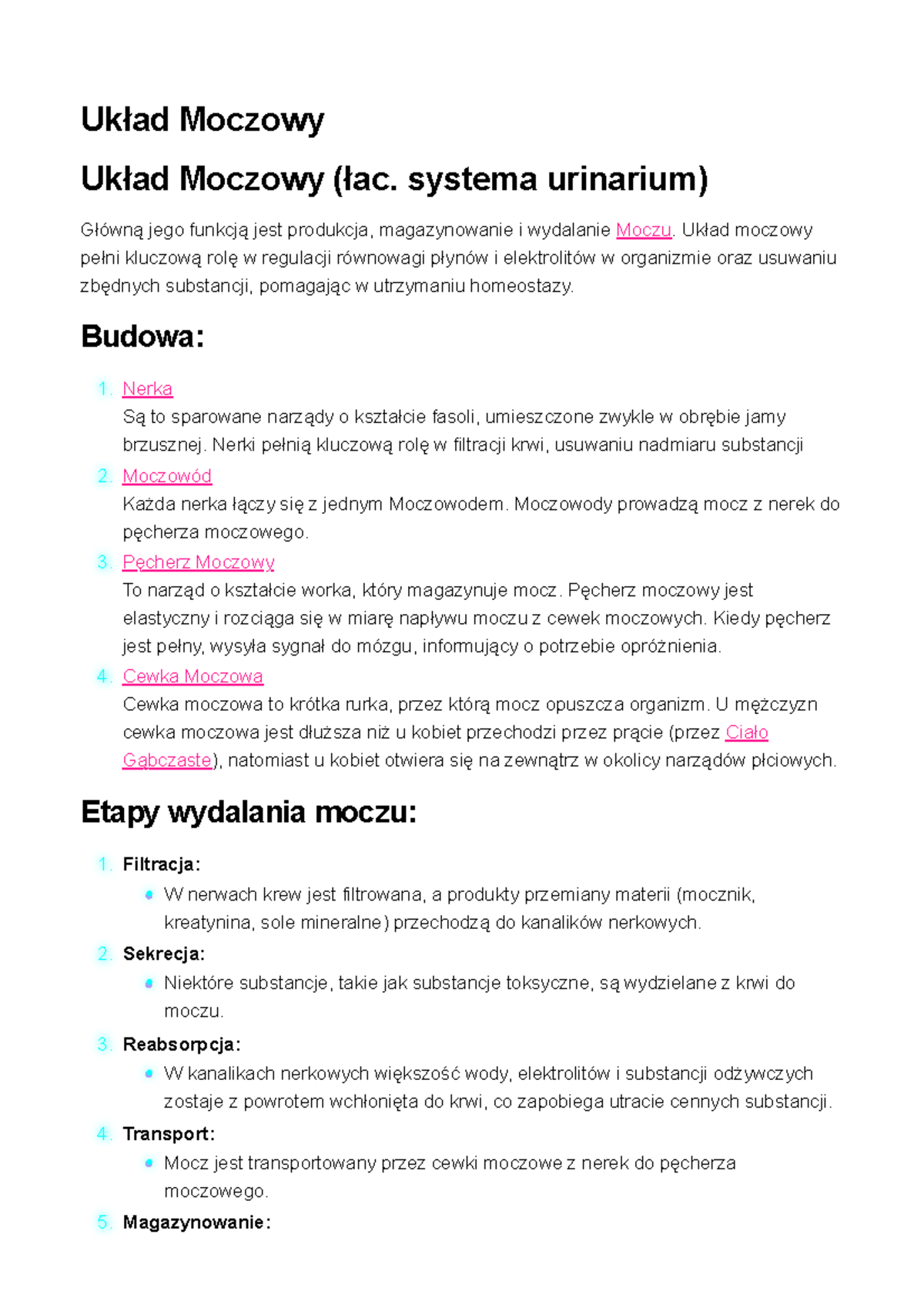 Układ Moczowy - Anatomia Układu Moczowego - Układ Moczowy Układ Moczowy ...