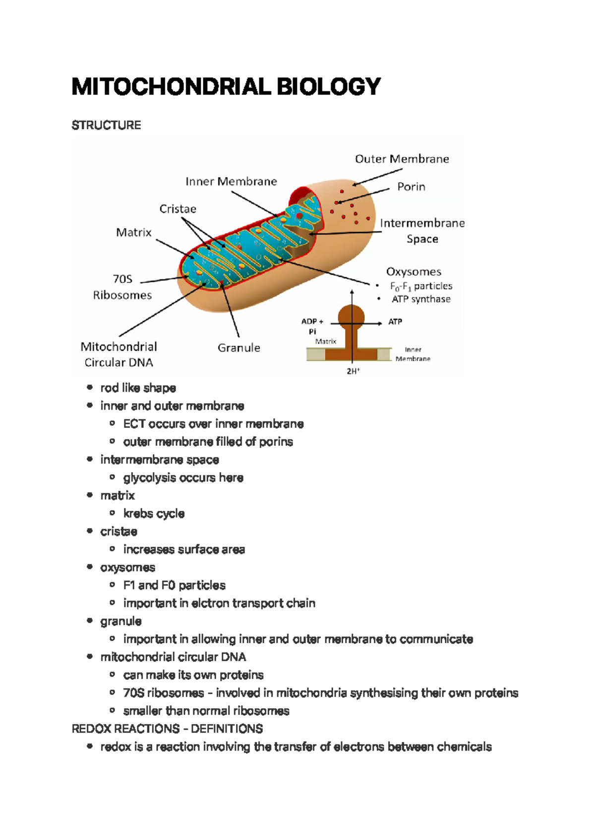 Mitochondrial Biology - MITOCHONDRIAL BIOLOGY STRUCTURE REDOX REACTIONS ...