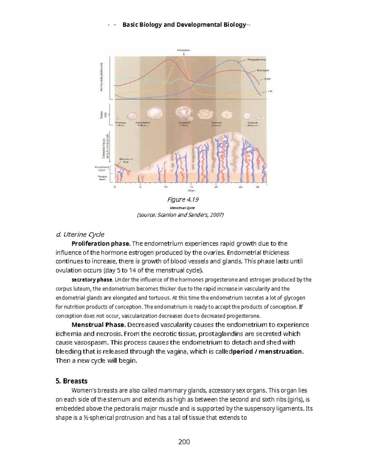 Mc Kinney Bio Notes Freshman - Figure 4. Menstrual Cycle (source ...
