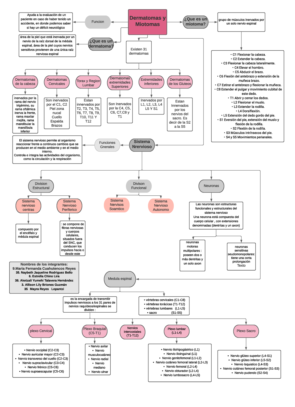 Dermatomas y Miomas - Dermatomas y Miotomas Ayuda a la evaluación de un ...