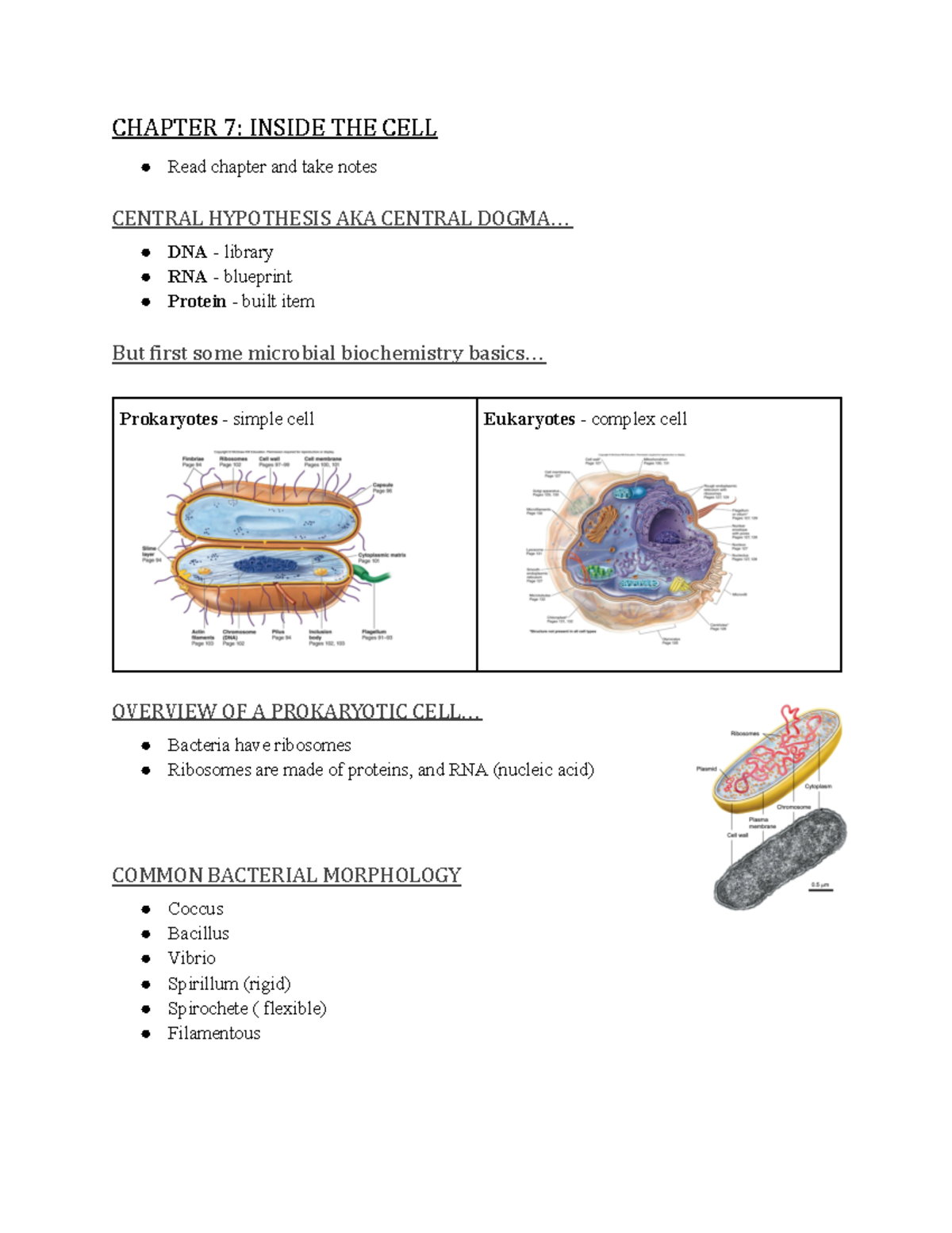 Chapter 7 Notes - Studocu