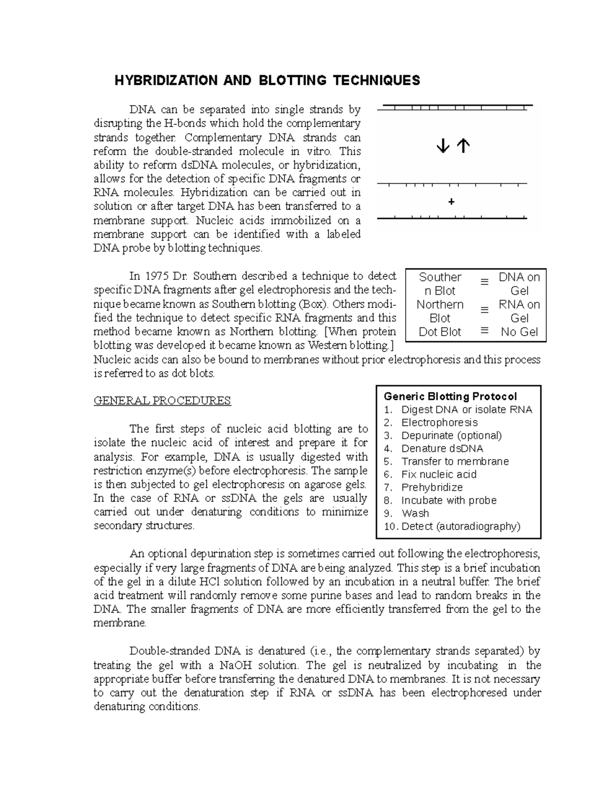 Hybridization AND Blotting Techniques - HYBRIDIZATION AND BLOTTING ...