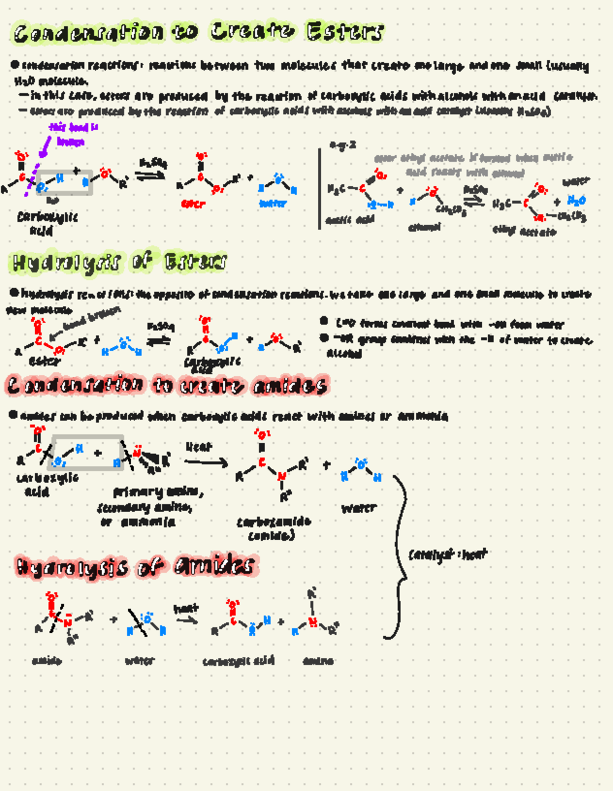 Condensation And Hydrolysis Reactions (M12Q6) - Eon ####### 'denstatite in to breathe E - Studocu