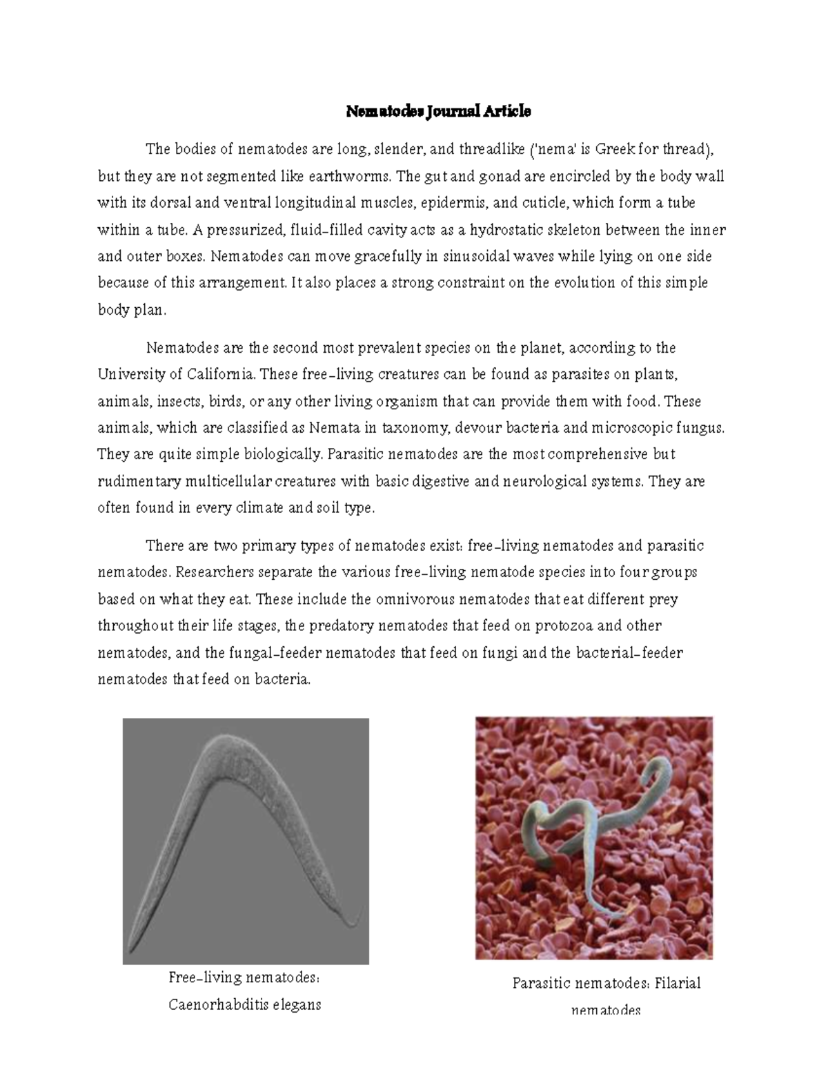 Nematodes Journal - The gut and gonad are encircled by the body wall ...