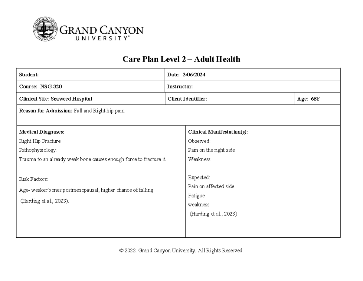 320 Careplan Examplar - Care Plan Level 2 – Adult Health Student: Date ...