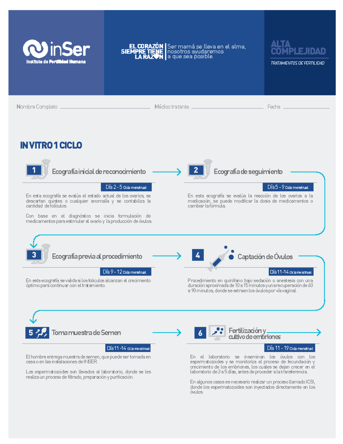 Invitro 1 Ciclo - SDSDSDD - En esta ecografía se evalúa el estado ...