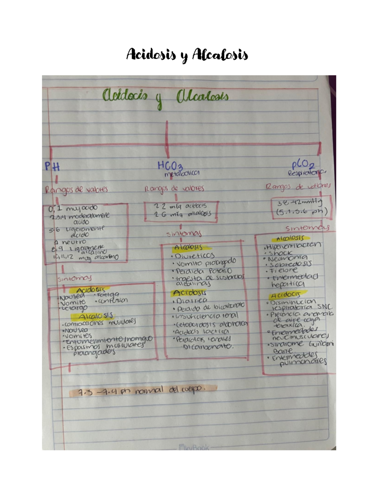 Acidosis y Alcalosis d3317def5034fb0277f026e73a9428e4 - Bioquímica ...