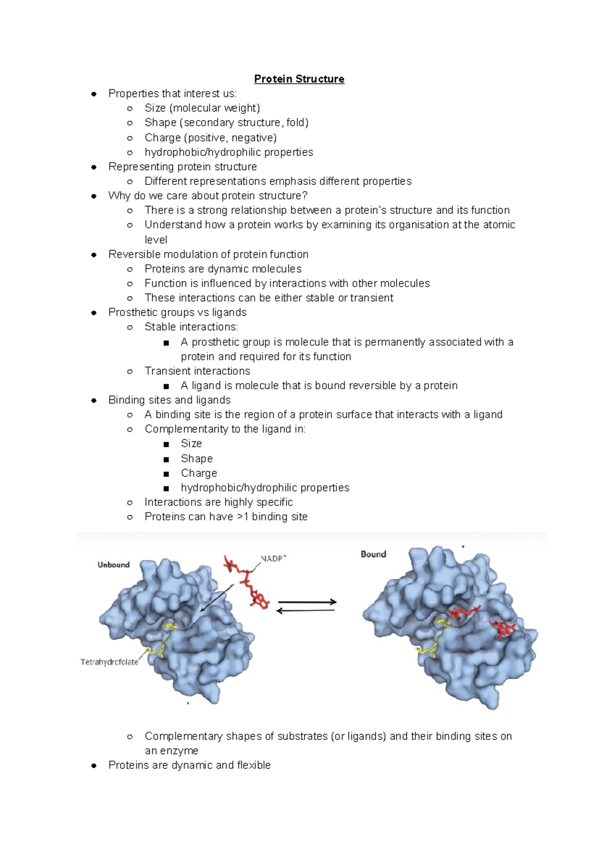 Biochemistry slides - good - Protein Structure Properties that interest ...