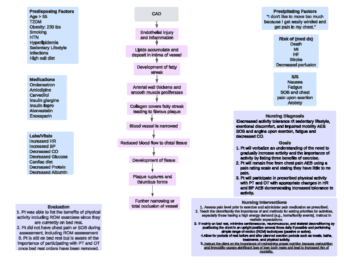 CM 2 - Concept map - CAD Blood vessel is narrowed Reduced blood flow to ...