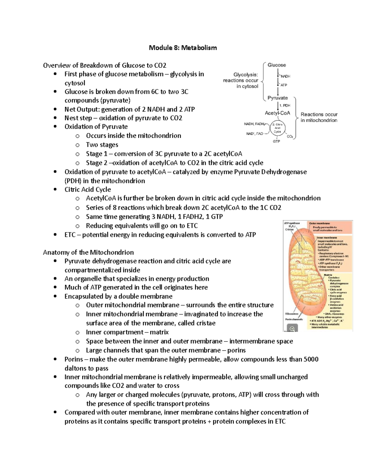Module 8 - Module 8: Metabolism Overview of Breakdown of Glucose to CO ...