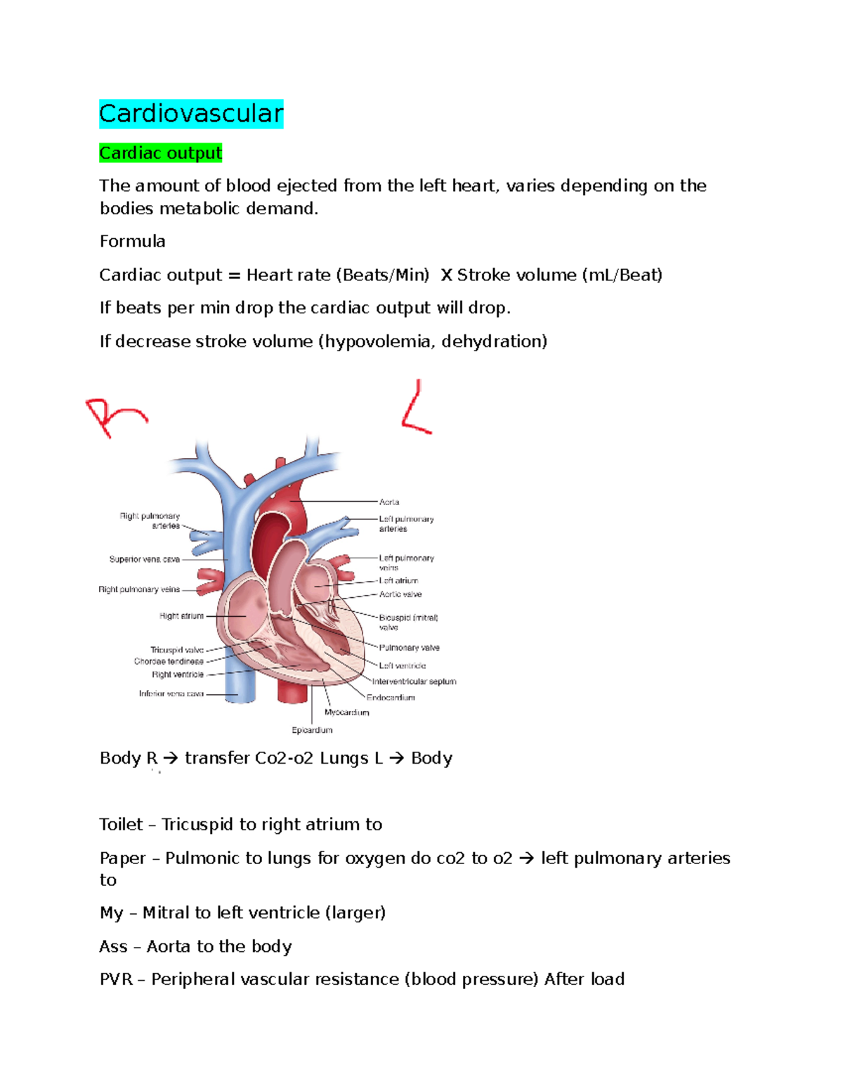 EXAM 3 Medsurge - Notes - Cardiovascular Cardiac output The amount of ...