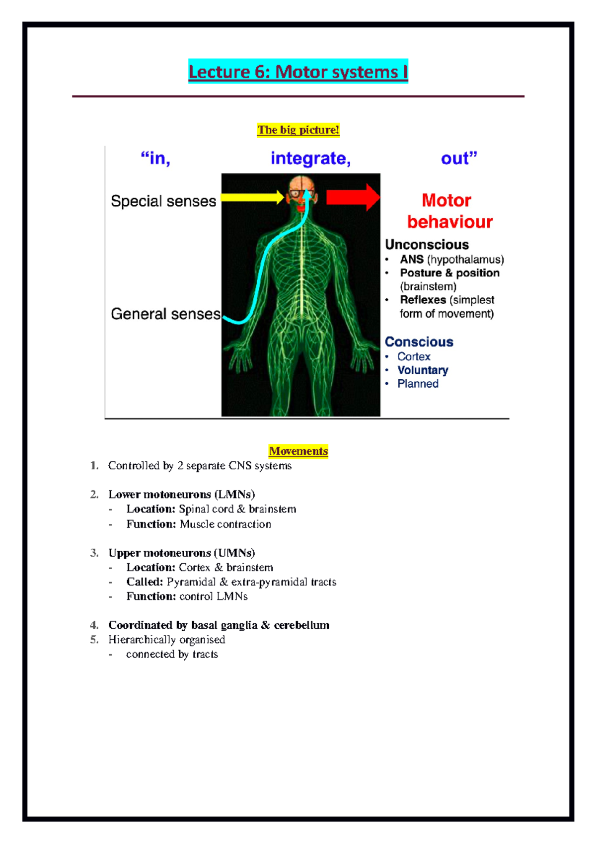 Neuroanatomy Lecture 6 - Lecture 6: Motor systems I The big picture ...