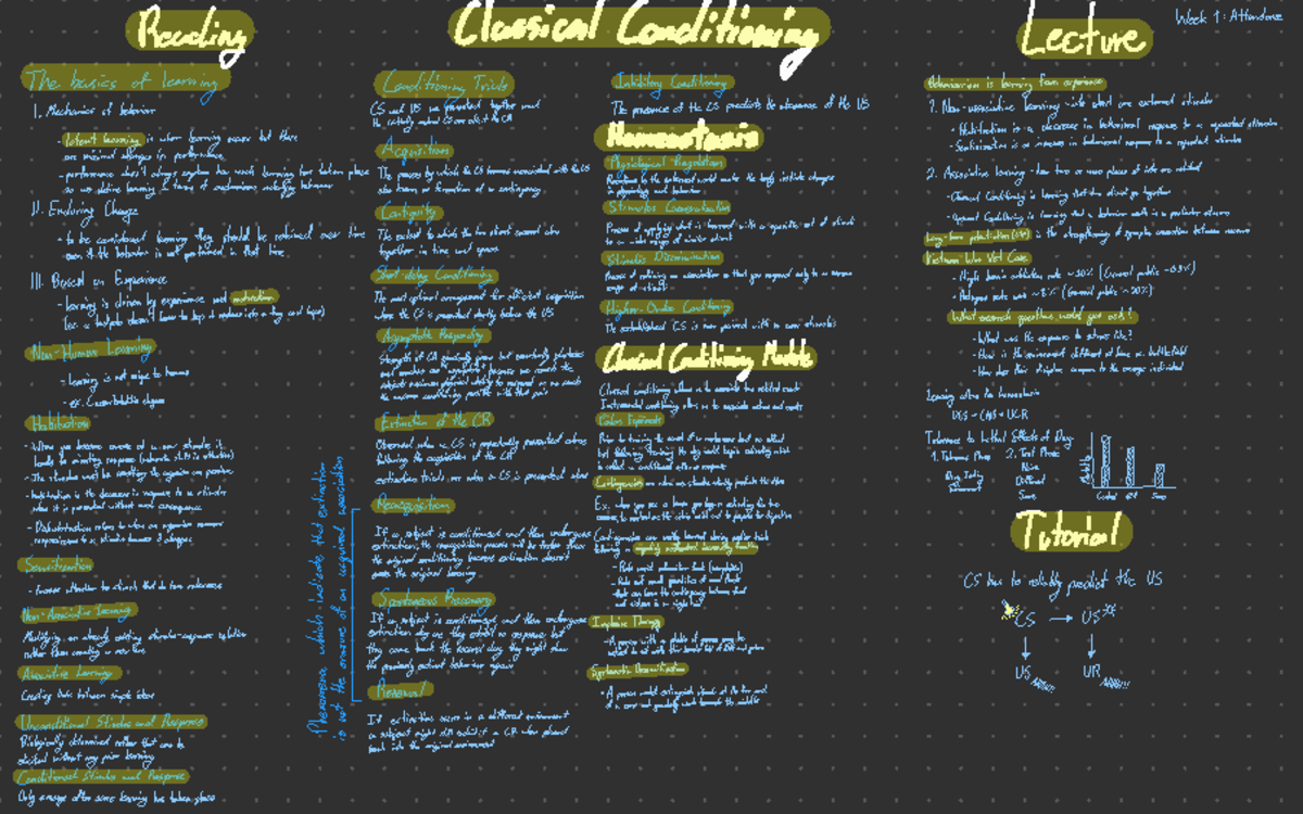 Psych Classical Conditioning Notes - Classical Conditioning Lecture The ...