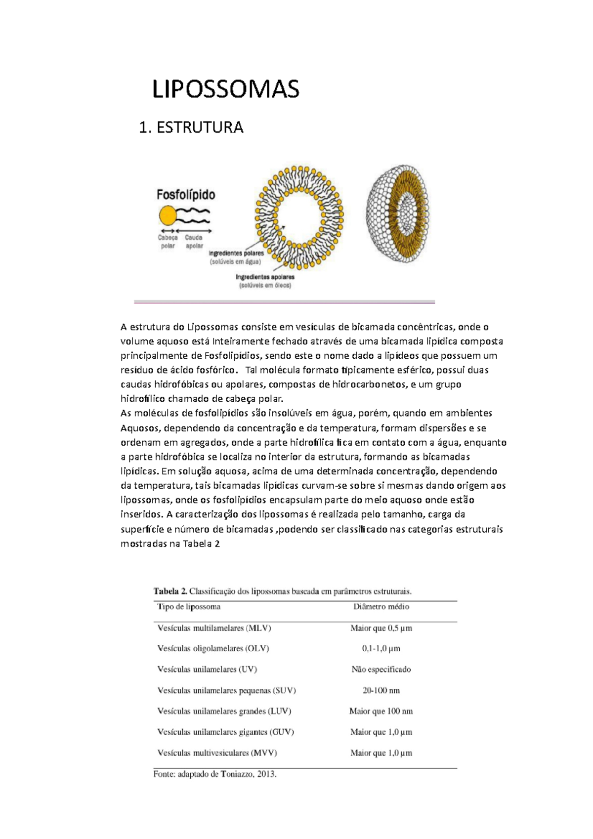 Estrutura DO Lipossoma - LIPOSSOMAS 1. ESTRUTURA A estrutura do ...