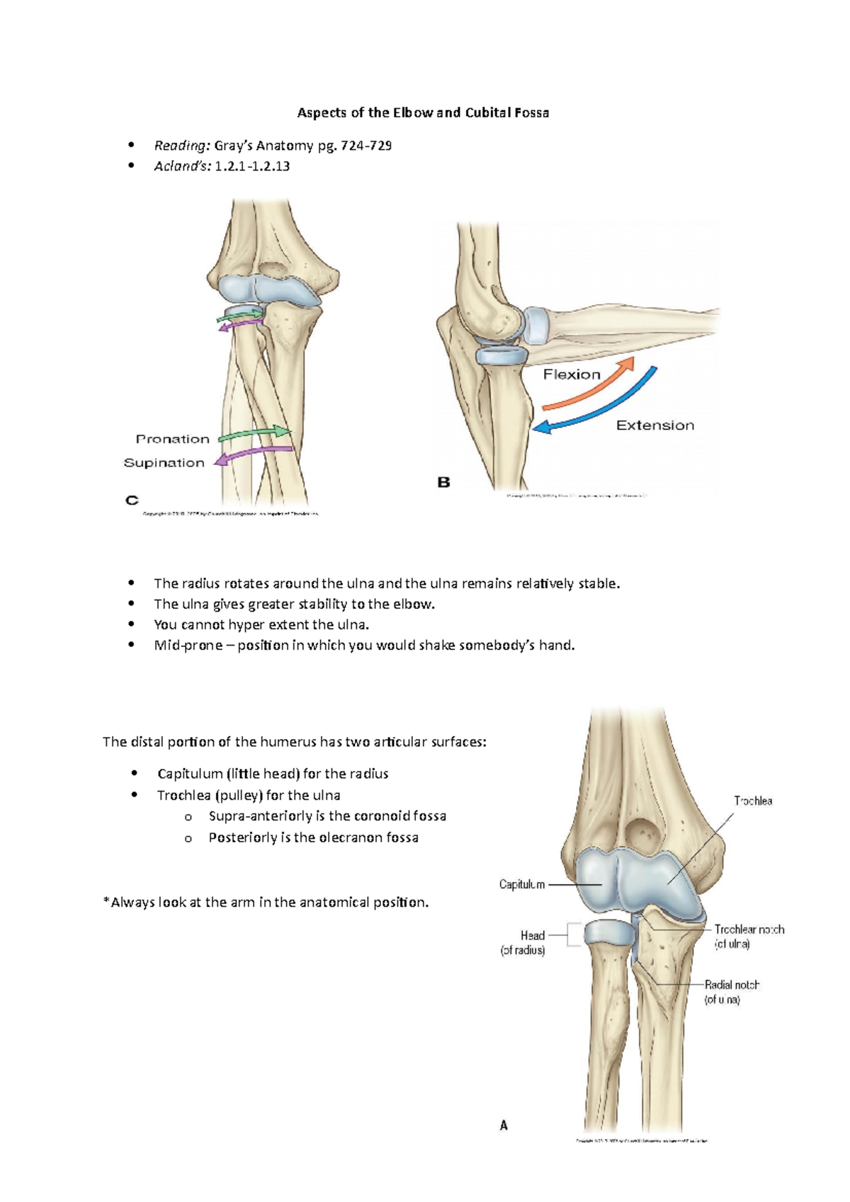 Aspects of the Elbow and Cubital Fossa - 724- Acland’s: 1.2.1-1. The ...