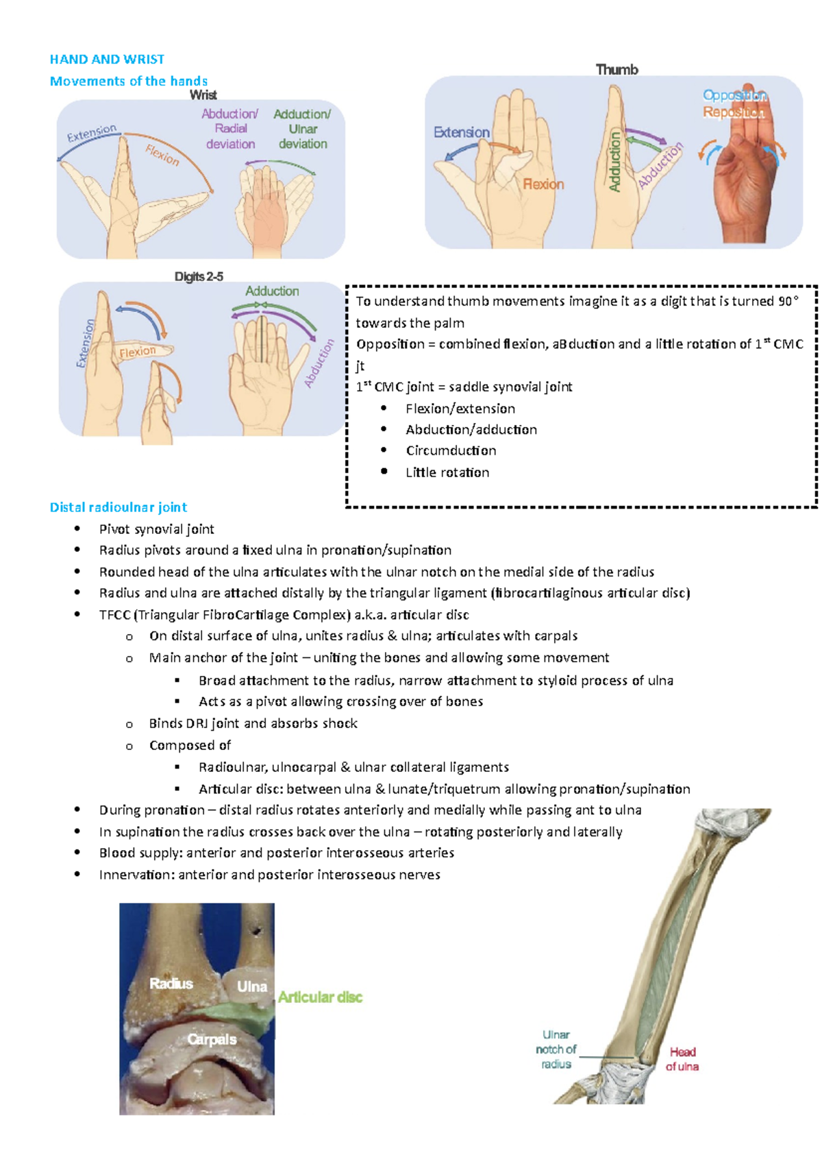 HAND AND Wrist - HAND AND WRIST Movements of the hands Distal ...
