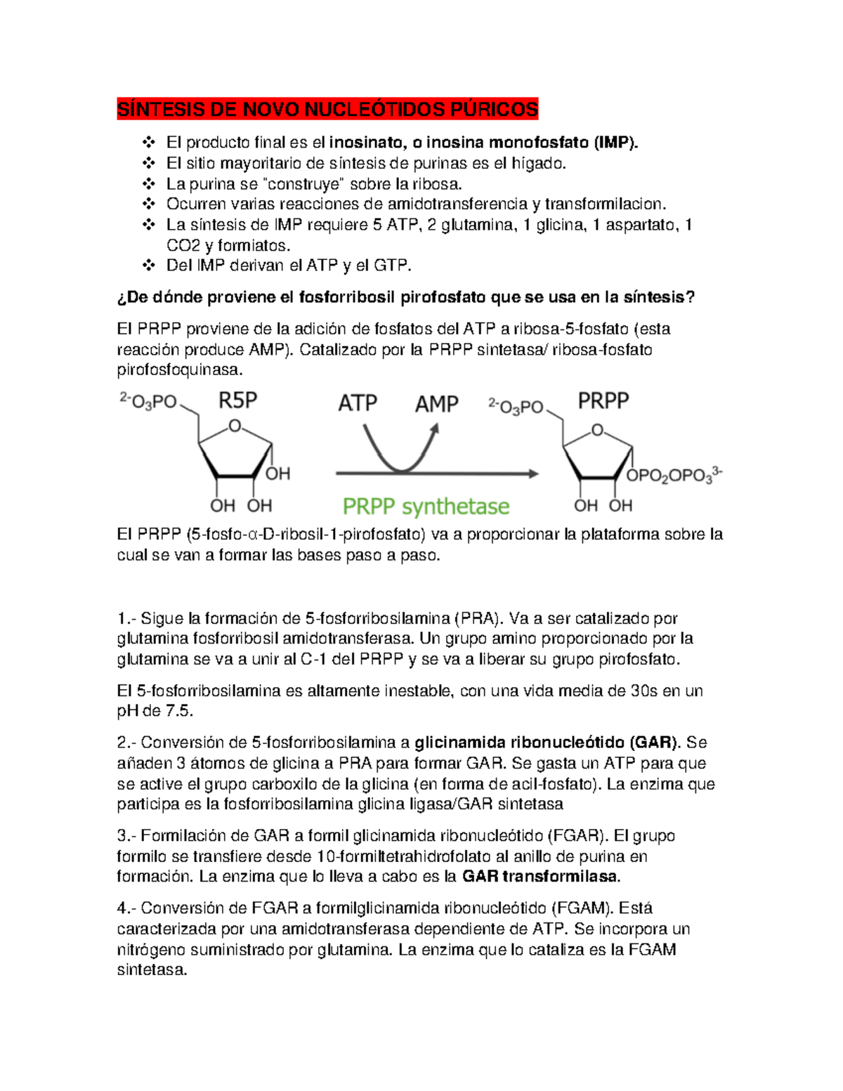 Síntesis de Nucleotidos - SÍNTESIS DE NOVO NUCLEÓTIDOS PÚRICOS El ...