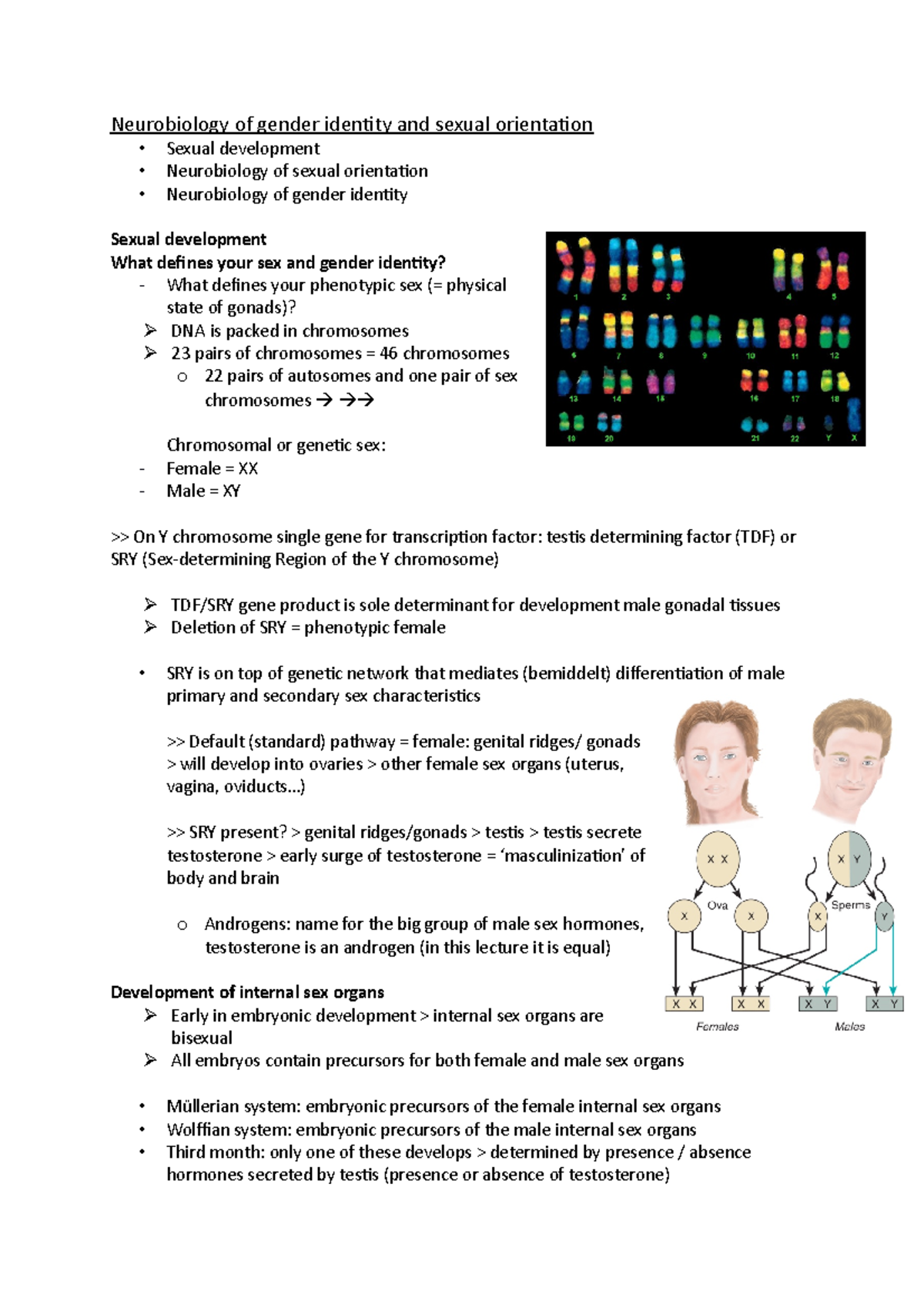 Neurobiology of gender identity and sexual orientation - GGS 110 ...