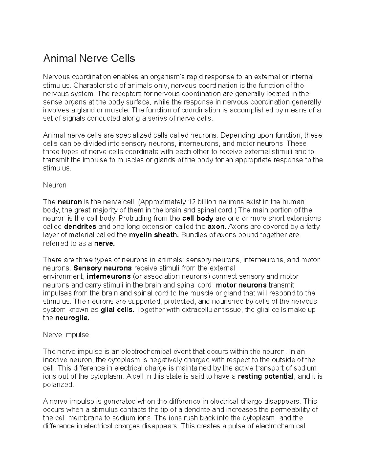 Animal Nerve Cells - notes - Animal Nerve Cells Nervous coordination ...