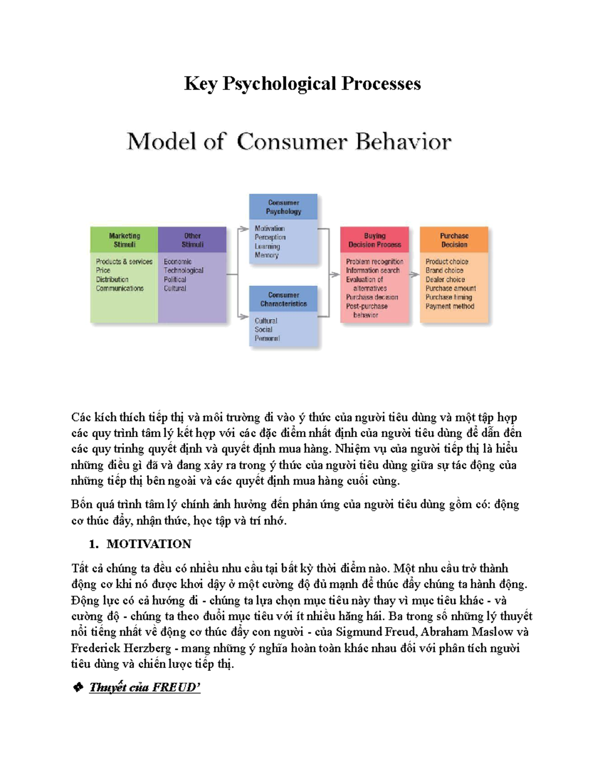 Key Psychological Processes - Nhiệm vụ của người tiếp thị là hiểu những ...