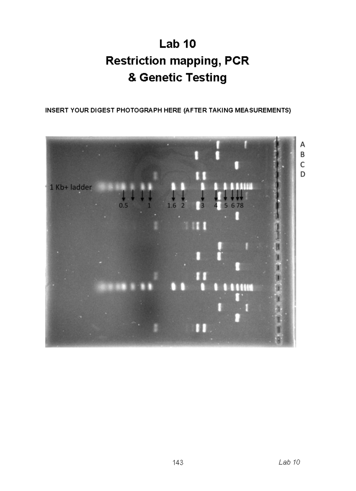 Lab 10 - Restriction mapping, PCR & Genetic testing - Lab 10 ...