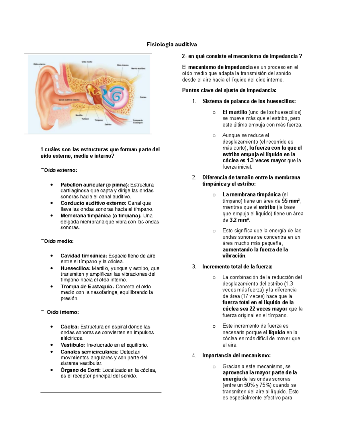 Fisiologia auditiva - • Conducto auditivo externo: Canal que lleva las ...