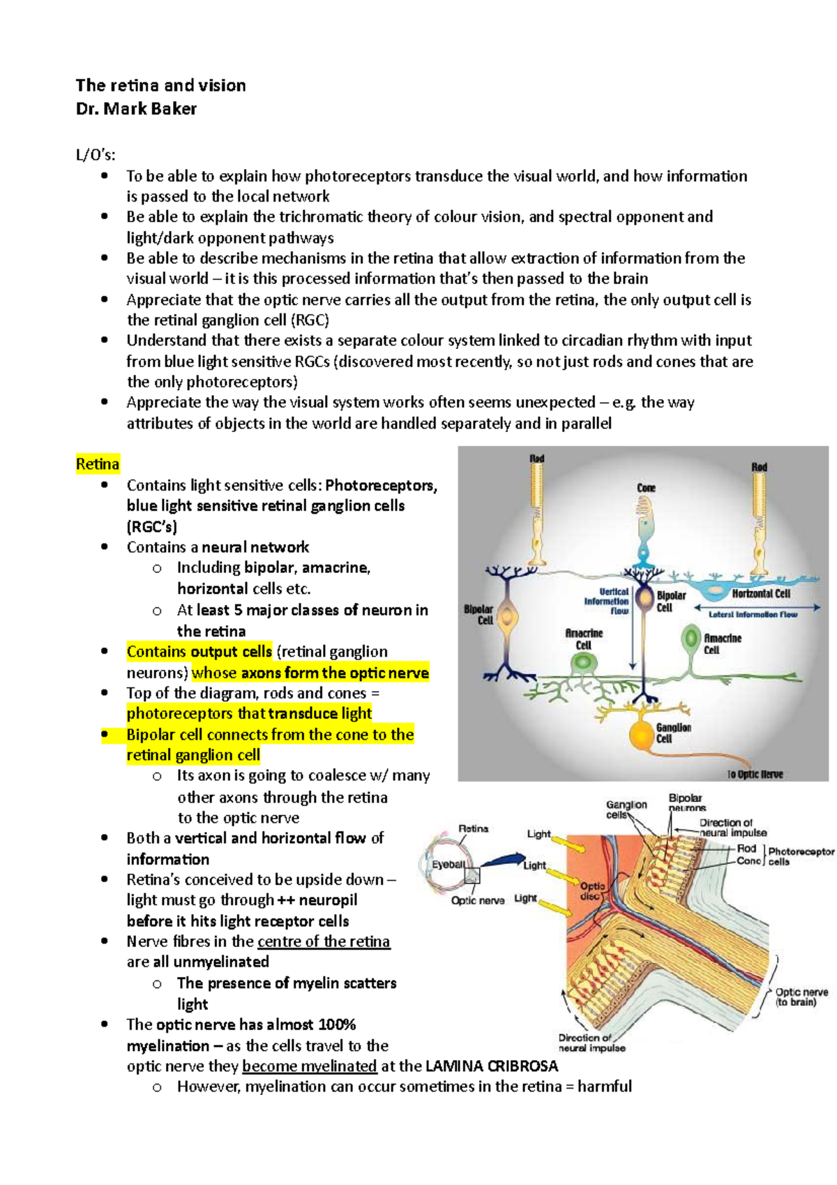 L7 Retina and vision - Lecture notes 7 - The retina and vision Dr. Mark ...
