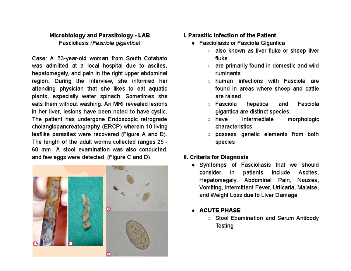 Microbiology and Parasitology - LAB - Microbiology and Parasitology ...