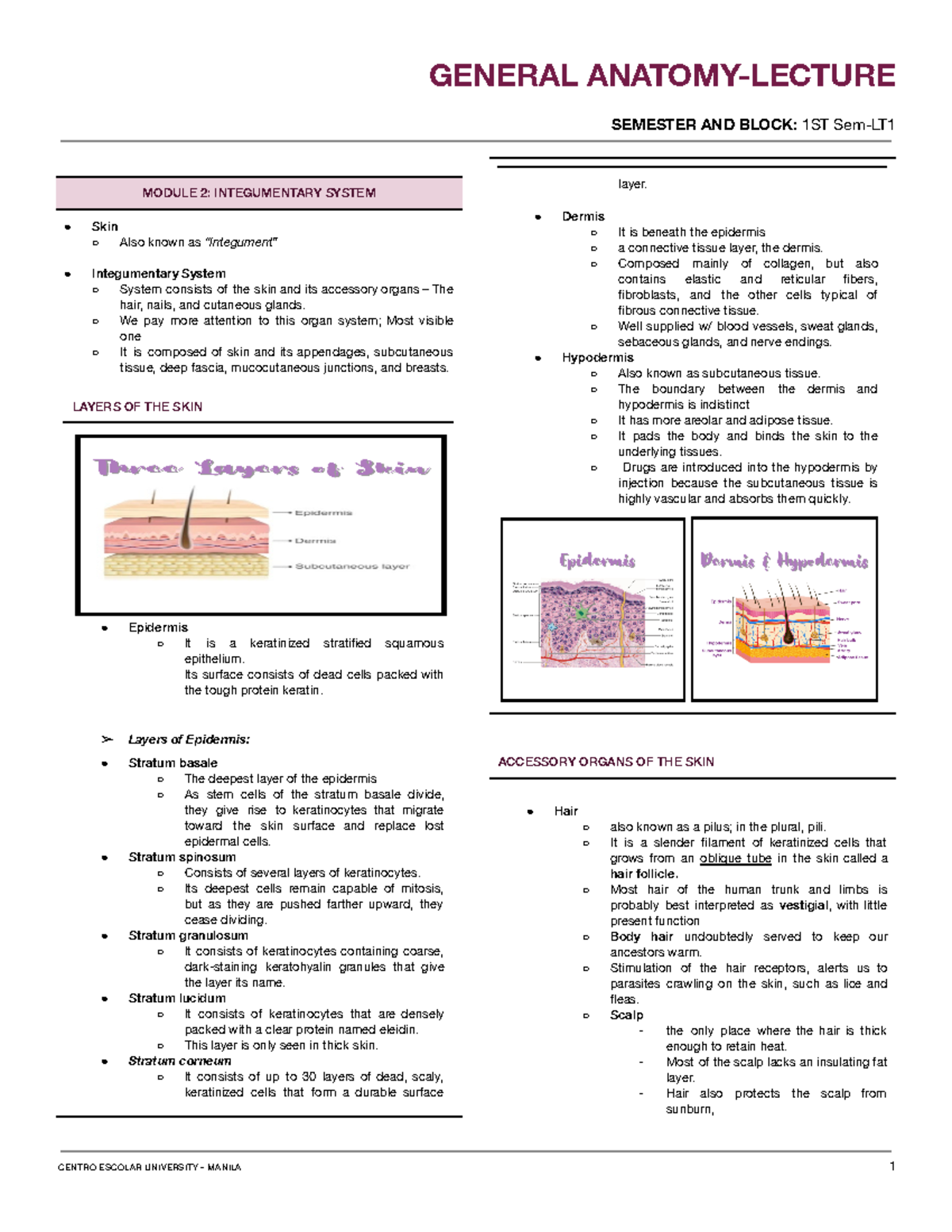 M2 General Anatomy-Lecture - GENERAL ANATOMY-LECTURE PROF: Lorena ...