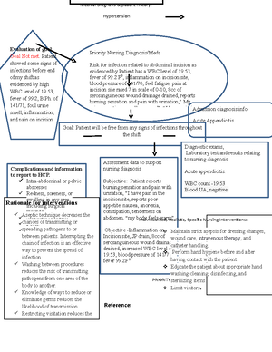 - WEEK 3, weekly priority care plan concept map week three - RNSG 2560 ...