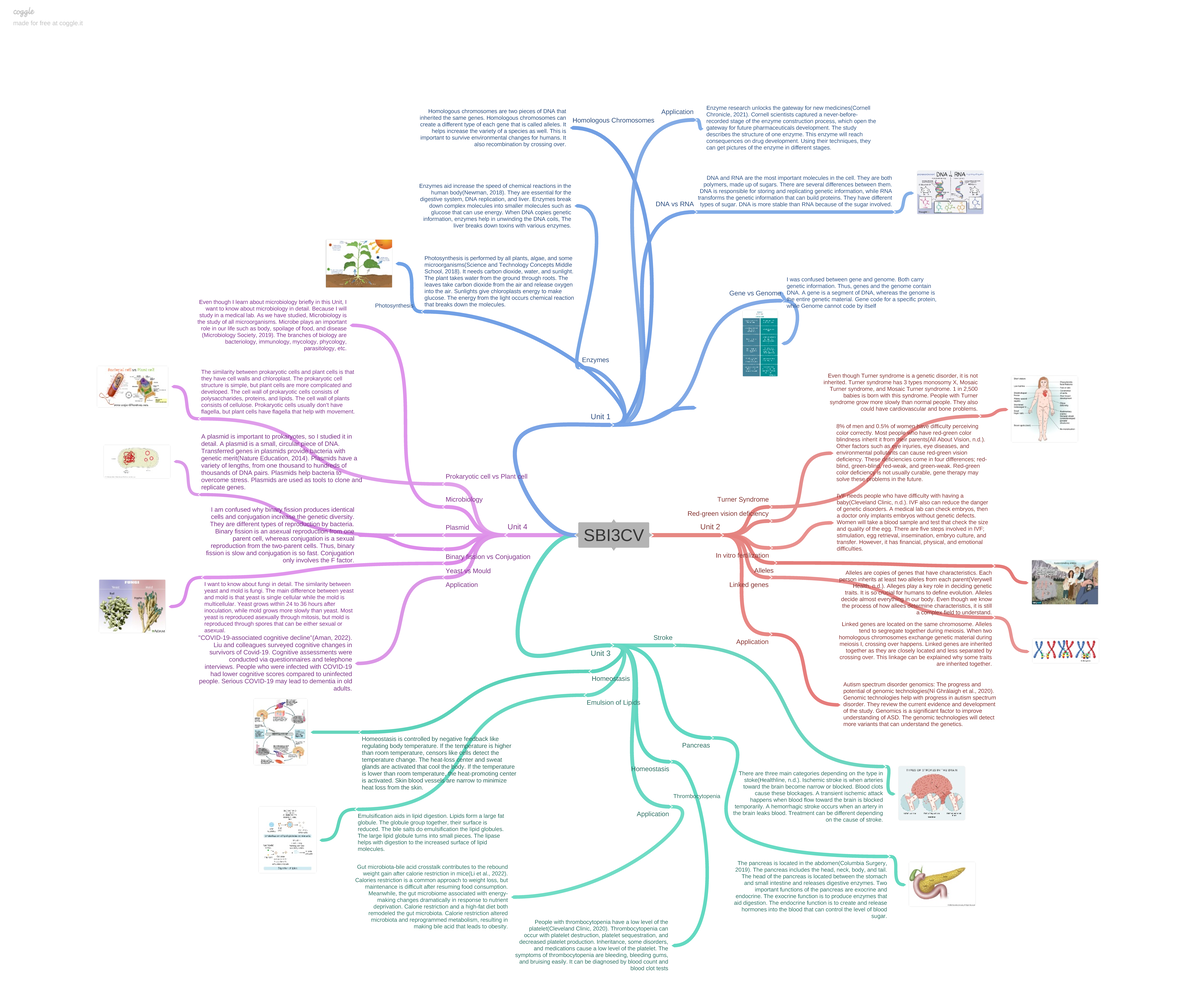 Sbi3cv bio - bio map assignment - SBI3CV Unit 4 Unit 2 Unit 3 In vitro ...