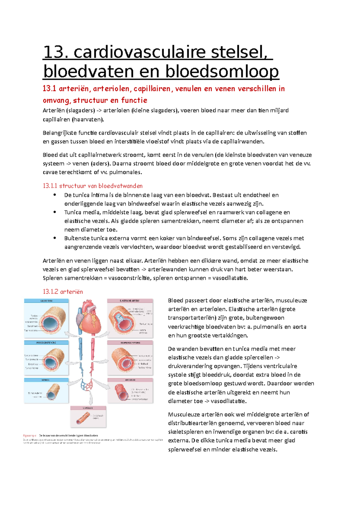 13 cardiovasculair stelsel, bloedvaten en bloedsomloop - 13 ...