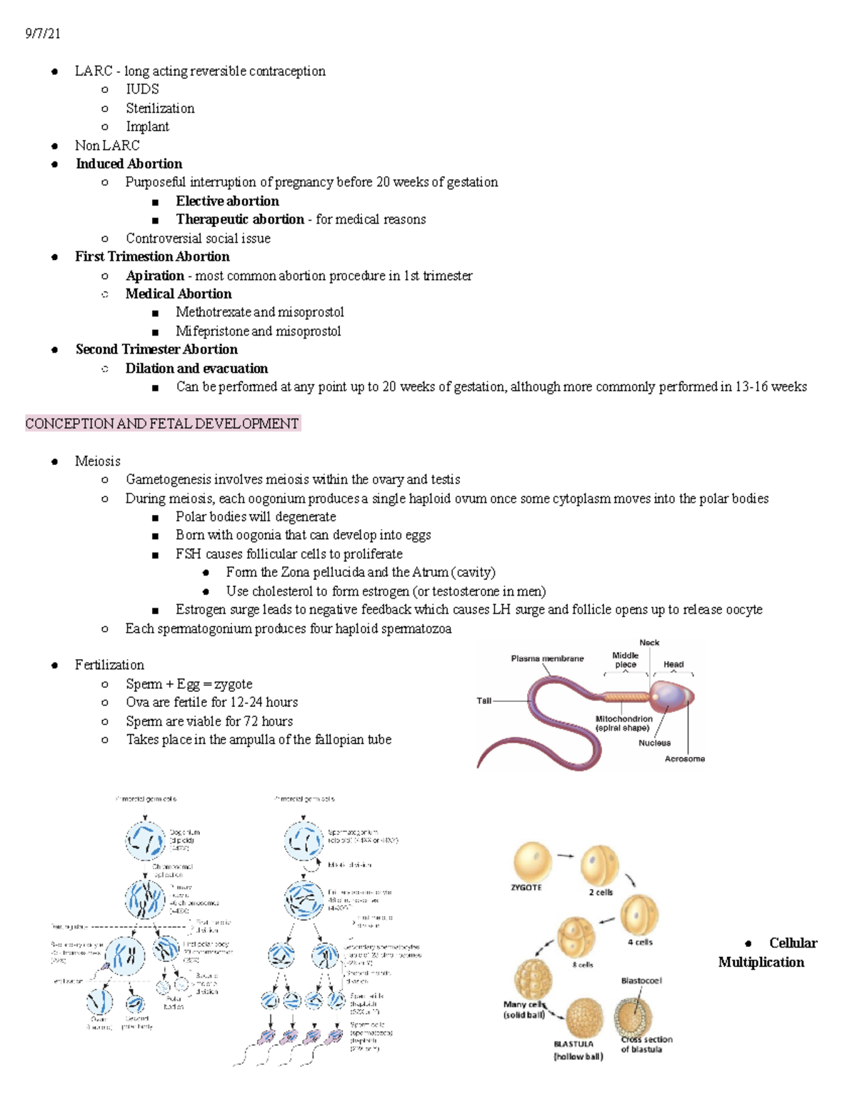 OB Lecture Notes Exam 1 - 9/7/ LARC - long acting reversible ...