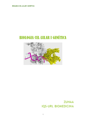TEMA 3 Celula Eucariota BIO - BIOLOGIA CEL·LULAR I GENÈTICA ZUHAA IQS-URL BIOMEDICINA TEMA 3 ...