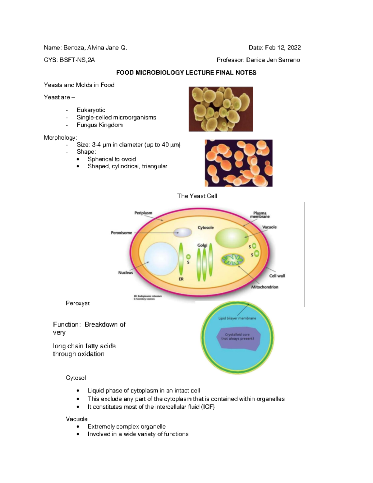 Microbiology Lecture Final Notes - Name: Benoza, Alvina Jane Q. Date ...