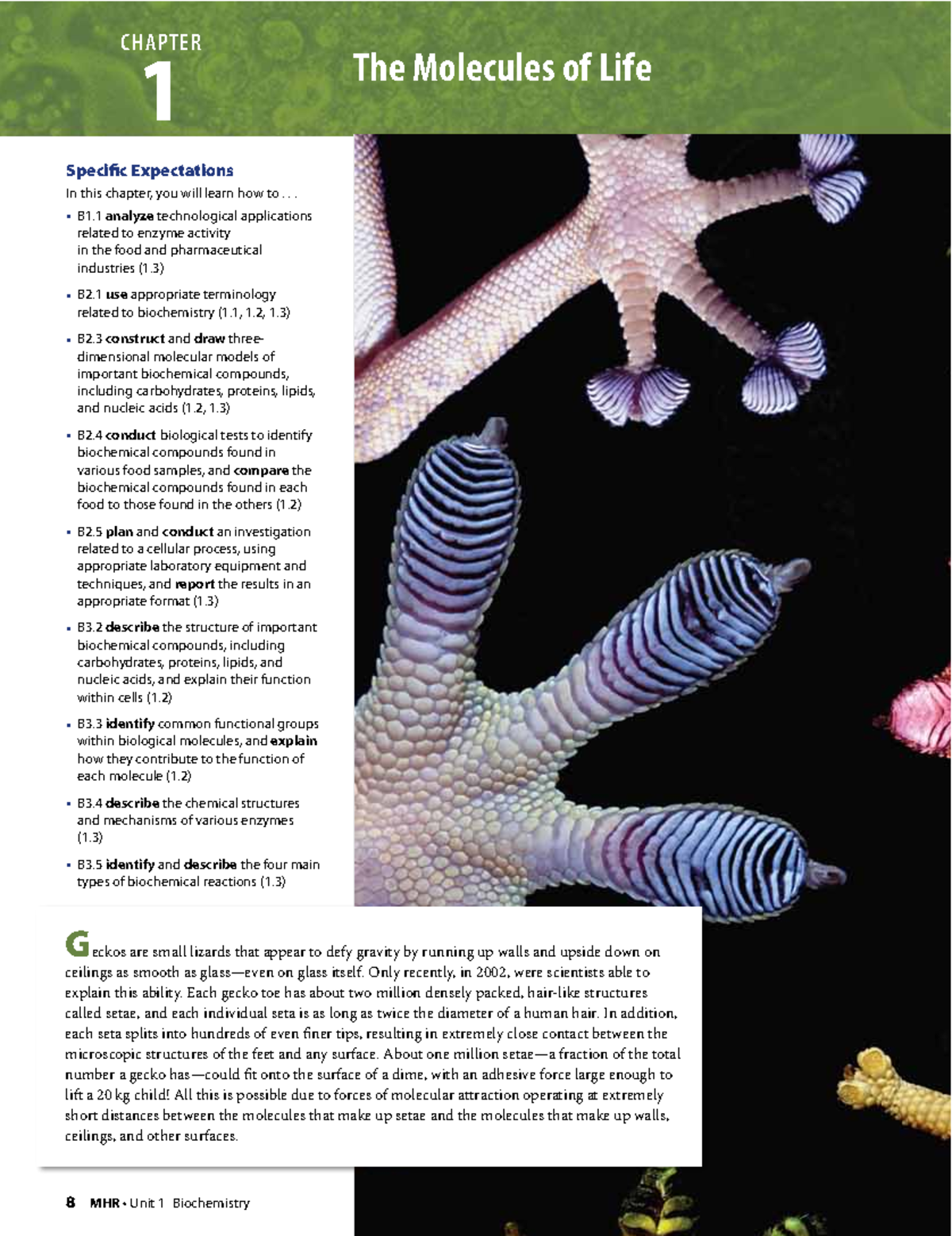 CH1 - organic chemistry - CHAPTER 1 The Molecules of Life Specific ...