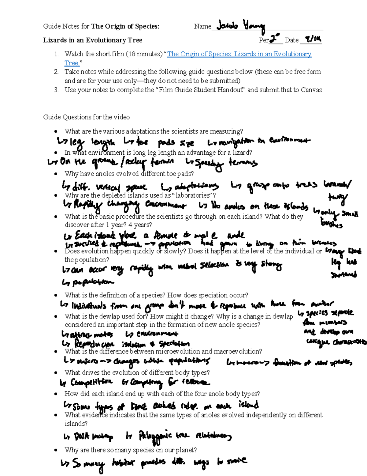 Lizards Evolution Tree - Guide Notes for The Origin of Species: Name