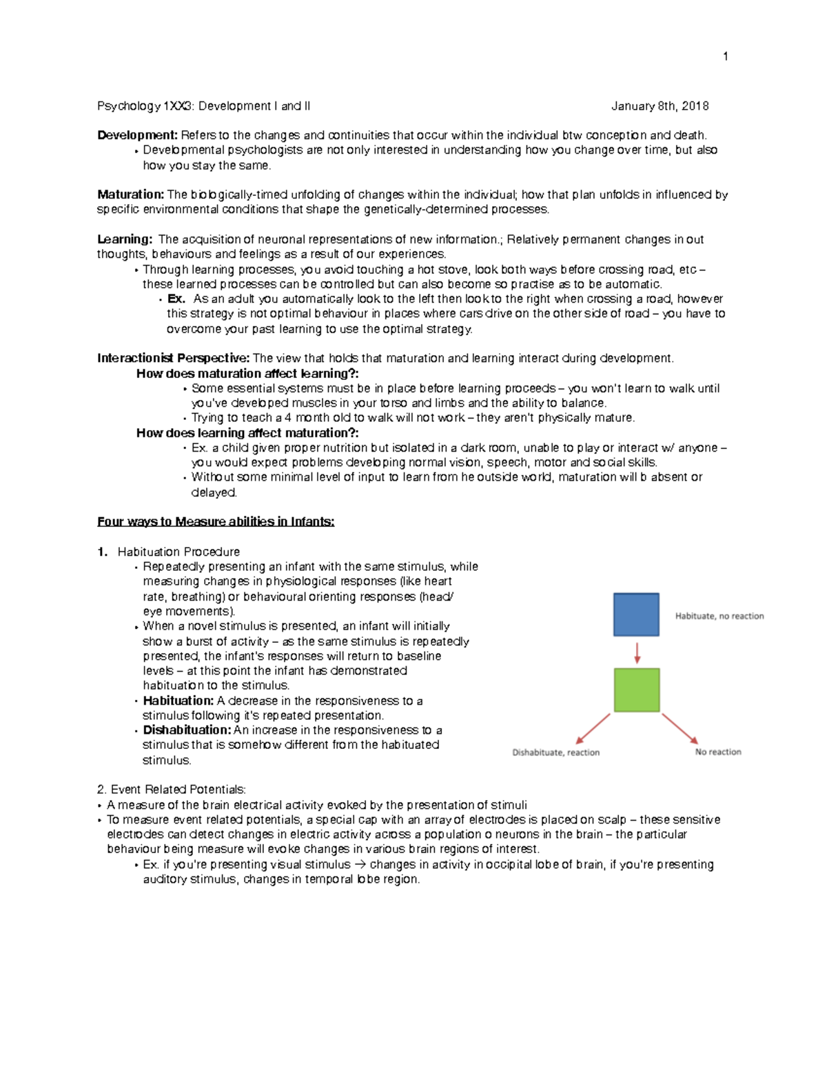 Psychology 1XX3-ExamReview - 1 Psychology 1XX3: Development I and II ...