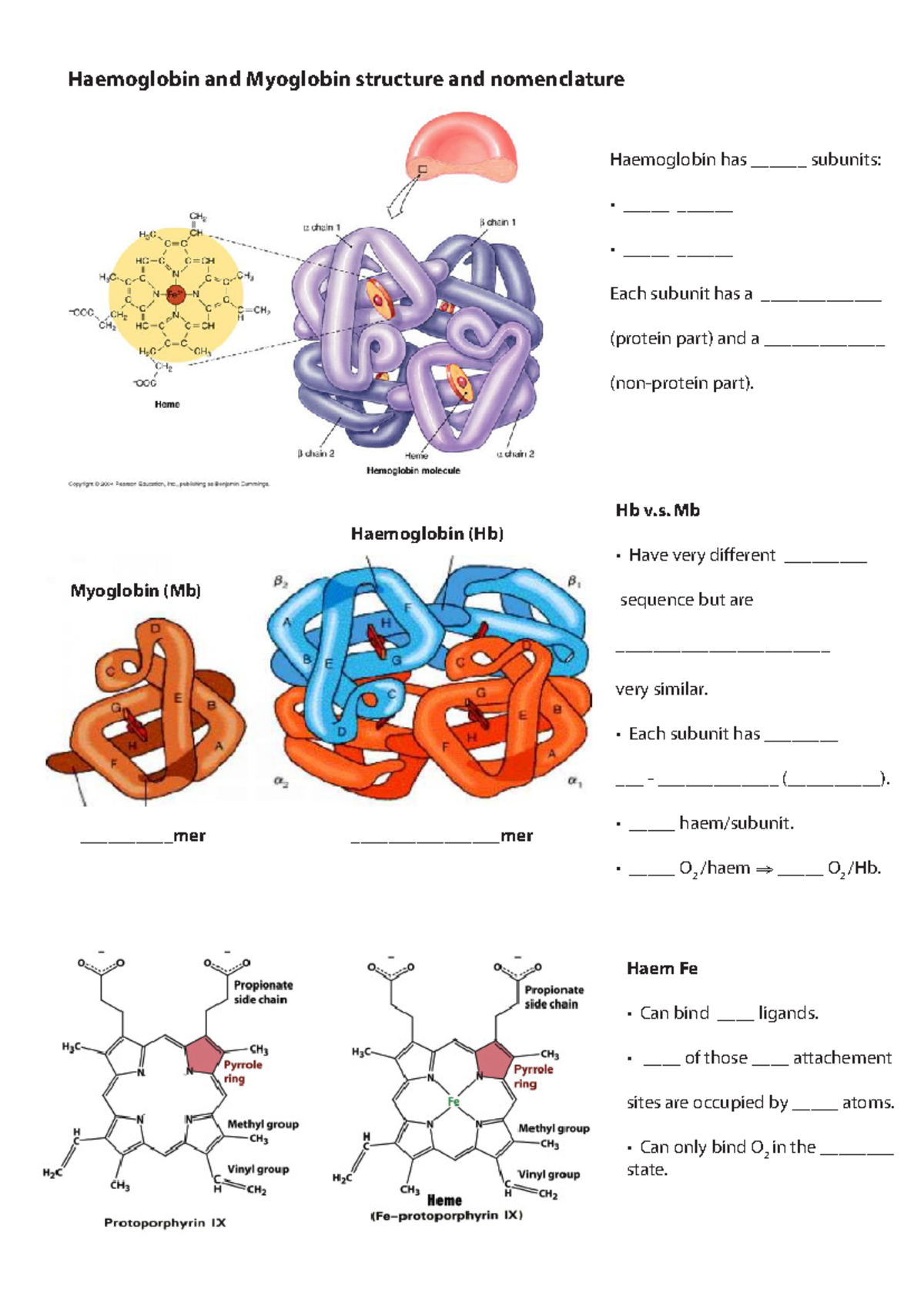 Q&A sessions worksheets - Haemoglobin and Myoglobin structure and ...