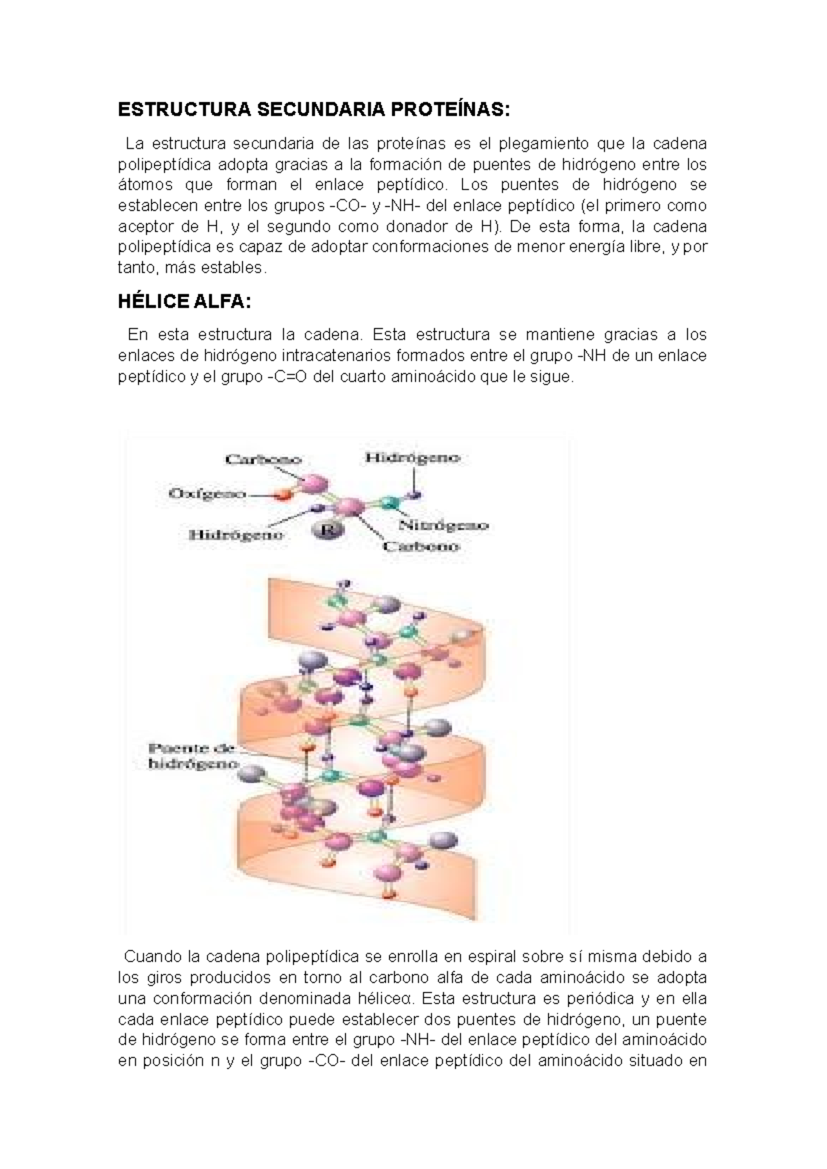 Estructura Secundaria Proteínas - ESTRUCTURA SECUNDARIA PROTEÍNAS: La ...
