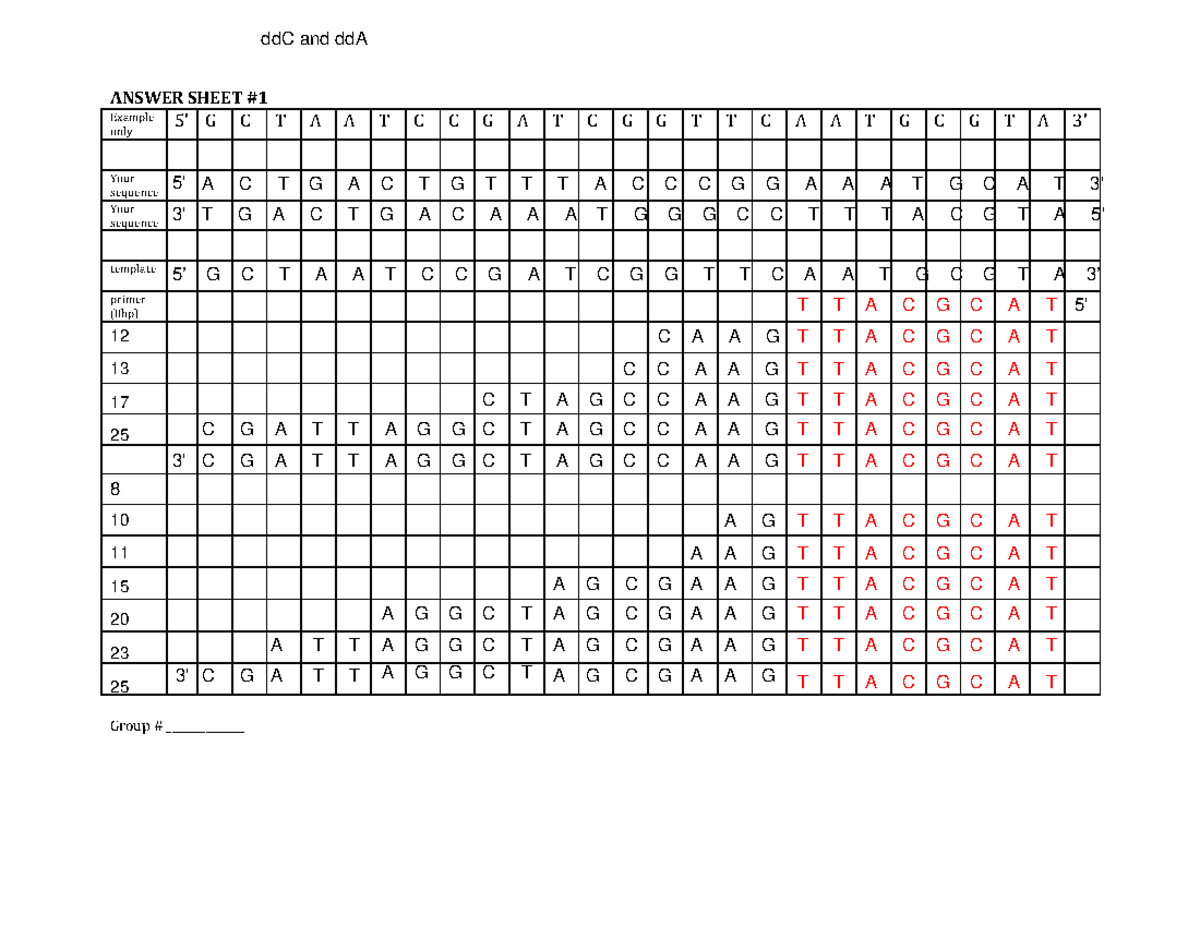 Exercise 1 - Answer Sheets 1,3,&4 - ANSWER SHEET Example only 5’ G C T ...