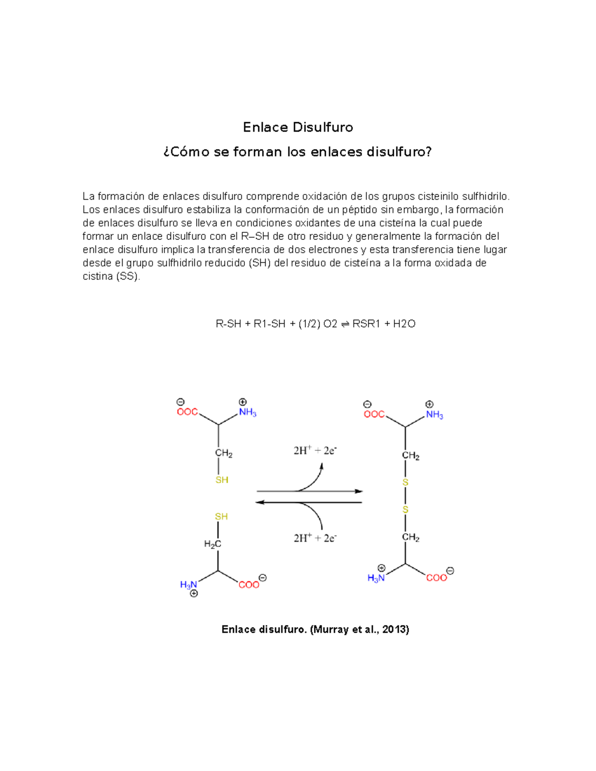 Enlace disilfuro - punto 6 - Enlace Disulfuro ¿Cómo se forman los ...