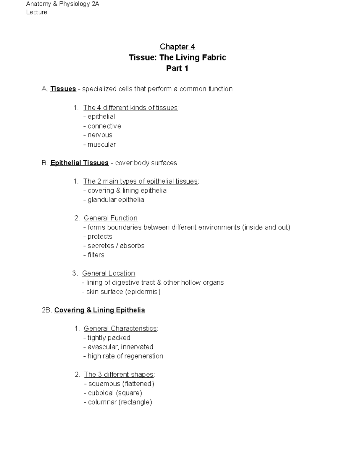 Ch. 4 Notes - Tissue pt. 1 - Lecture Chapter 4 Tissue: The Living ...
