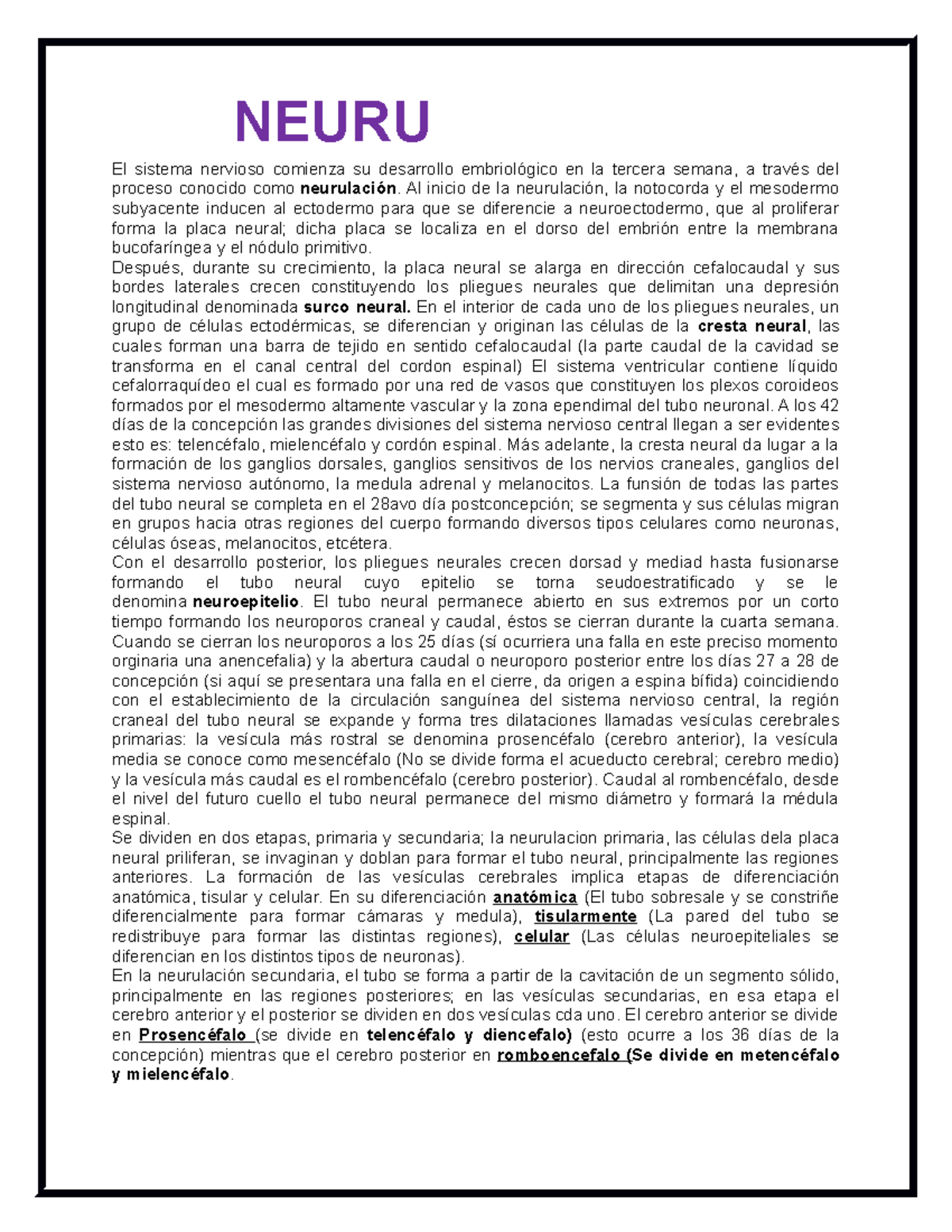 Neurulación resumen embriología 1er semestre - El sistema nervioso ...