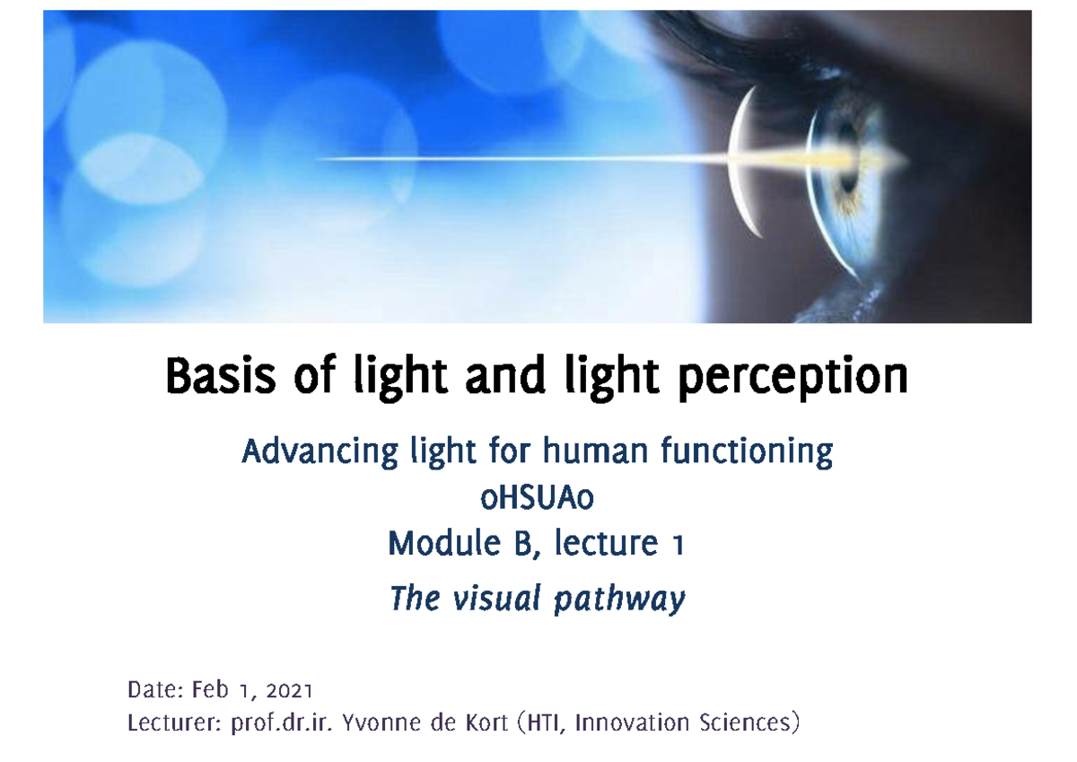 Lecture 1 The visual pathway - Basis of light and light perception ...